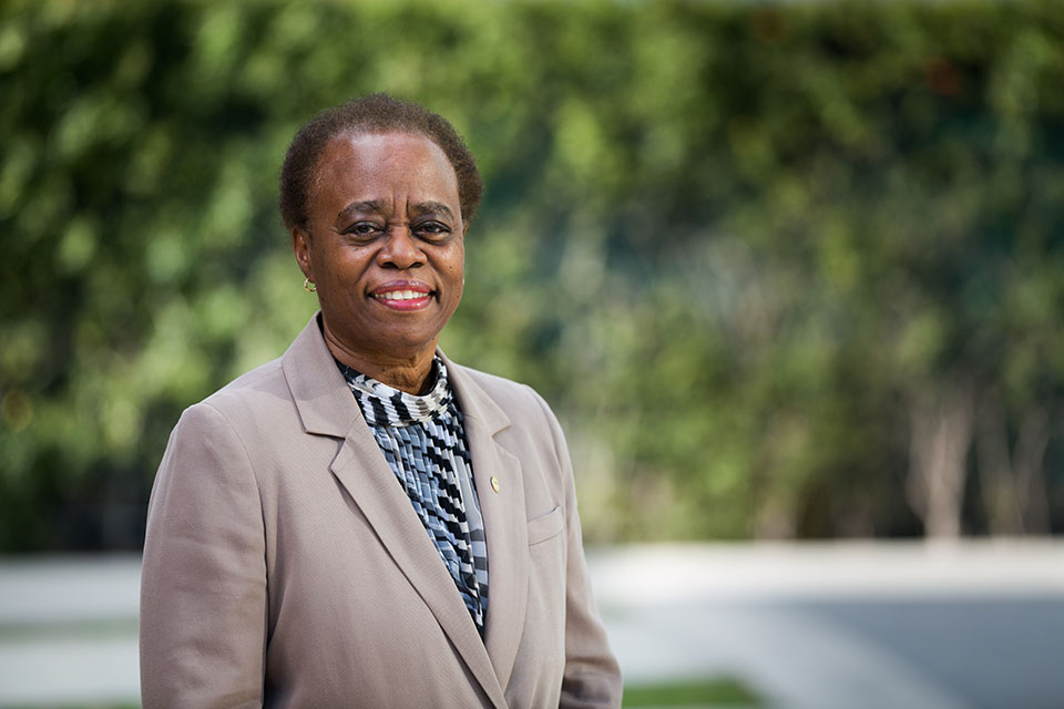 Developing Leadership Acumen for Solutions and Success in a Complex ...