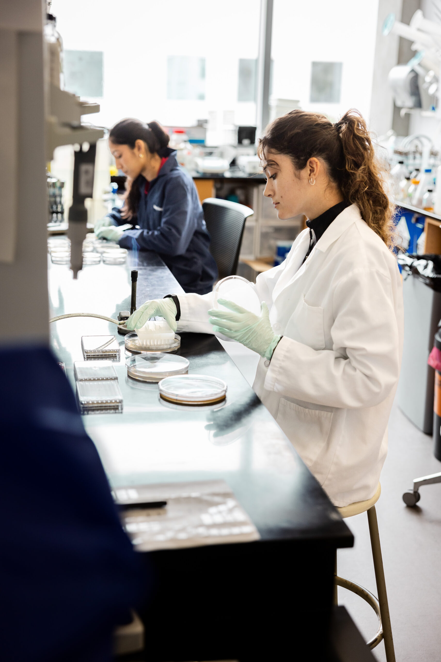 Seaver Summer Research 2024: Gabby O'Brien '27 - Loyola Marymount ...