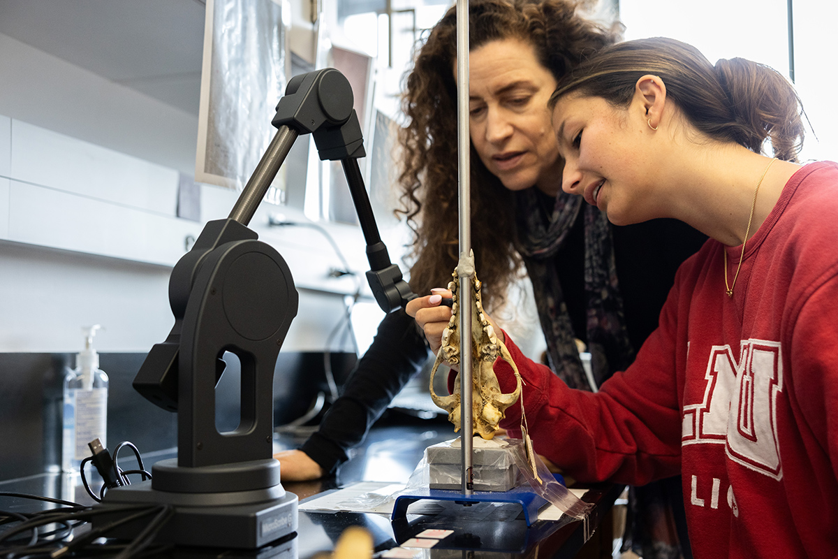 Seaver Summer Research 2024: Natalie Hedding '27 - Loyola Marymount ...