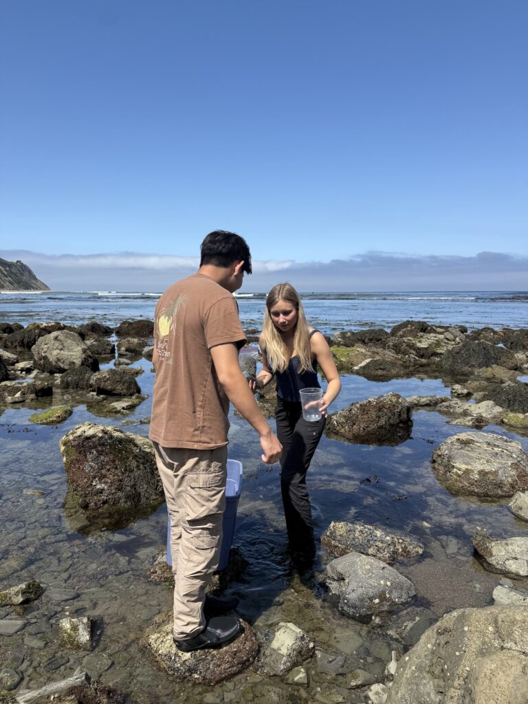 Kirra Engbrecht '27: 2025 Seaver Summer Research Q & A - Loyola ...